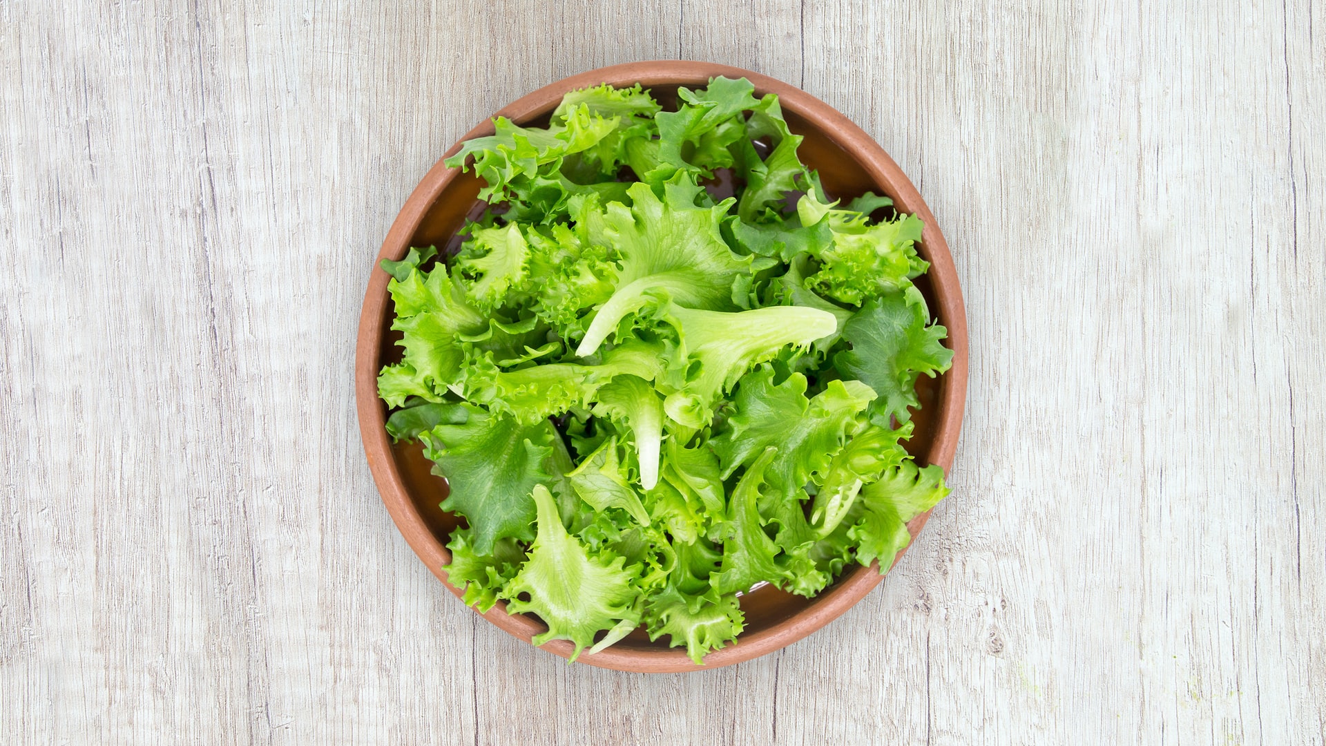 Can Frenchie Bulldogs Eat Lettuce? The Ultimate Food Guide For Your ...