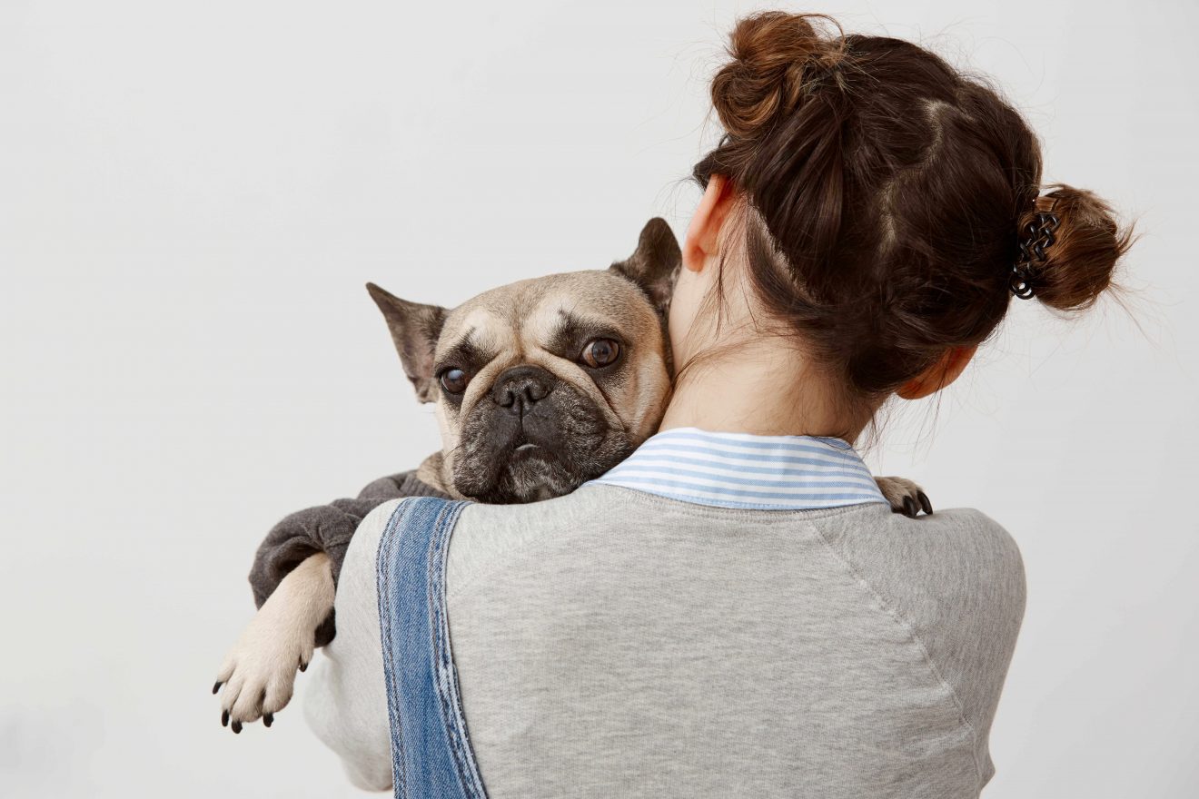 What Are The Best Separation Anxiety French Bulldog Toys? - Frenchie ...